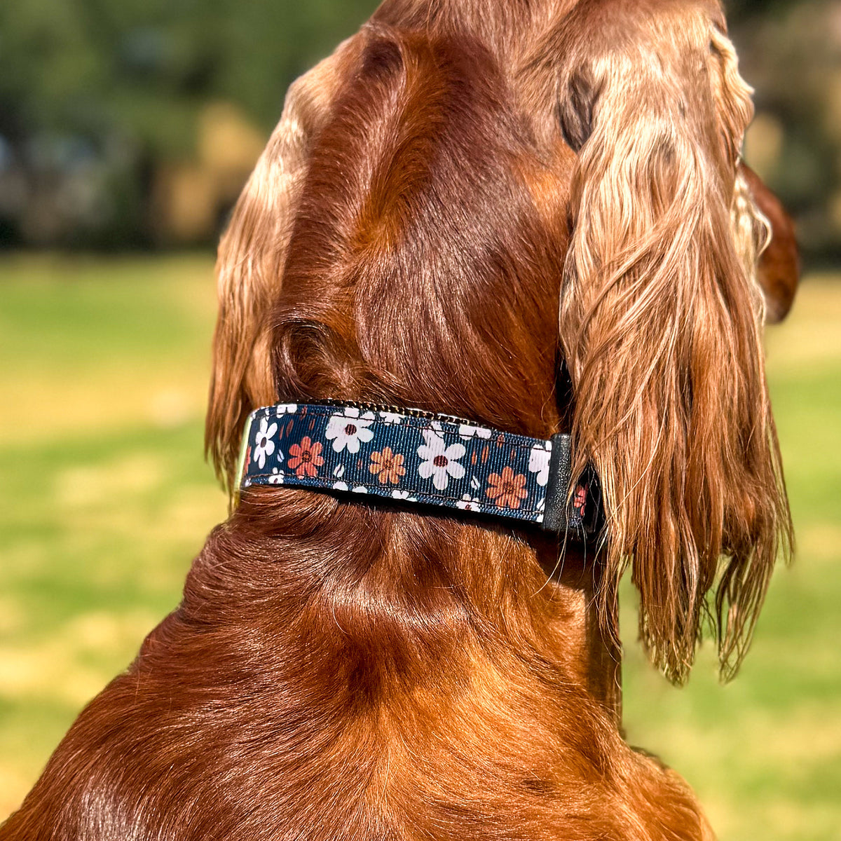 6 ft. Leash - Autumn Meadow – LUCKY + DOG AUSTIN