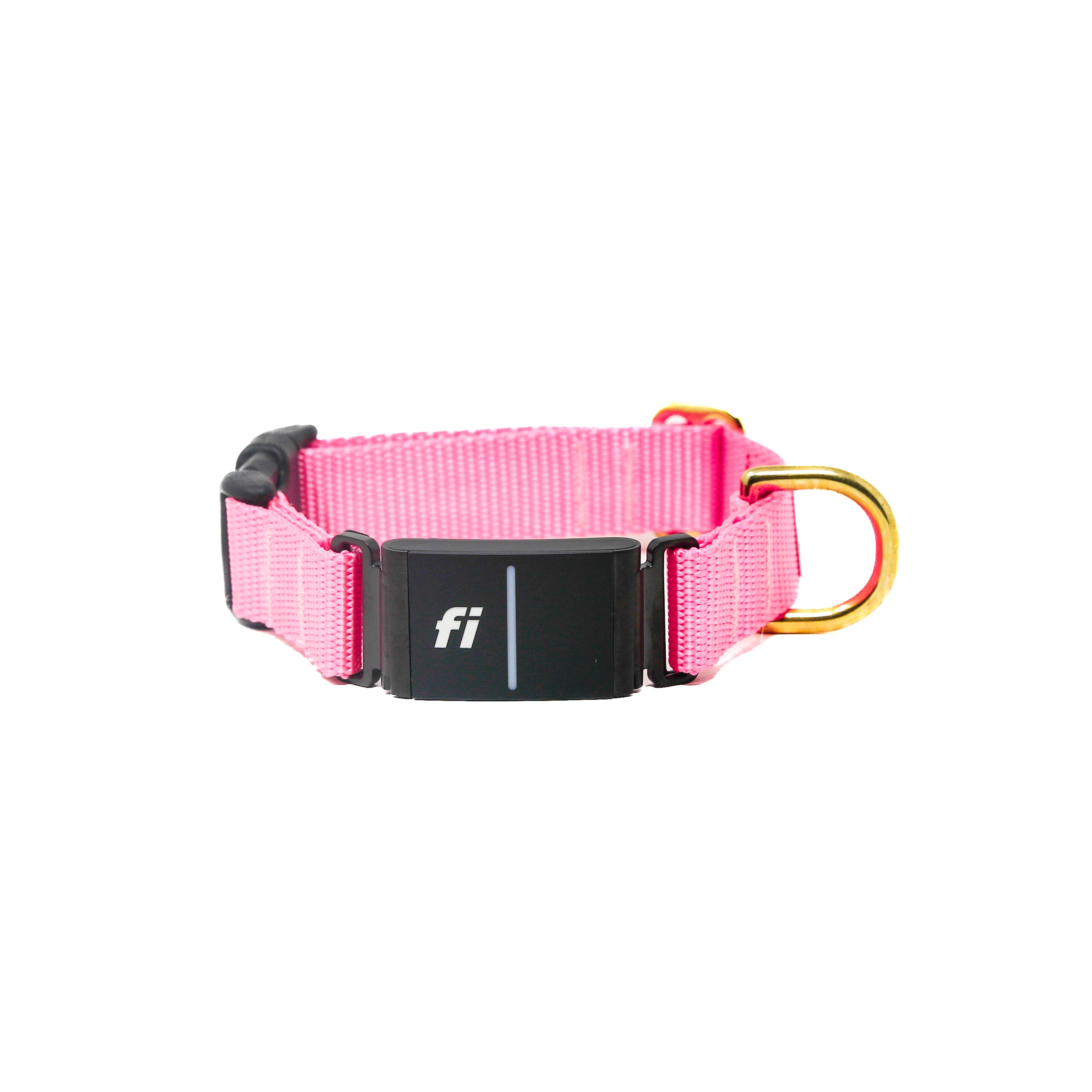 Fi GPS Solids & Patterns Collar Bands – LUCKY + DOG AUSTIN